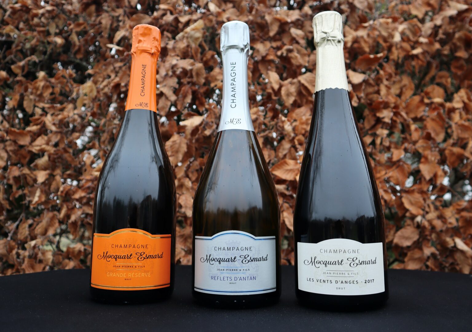 Coffret Exception - Champagne Mocquart Esmard